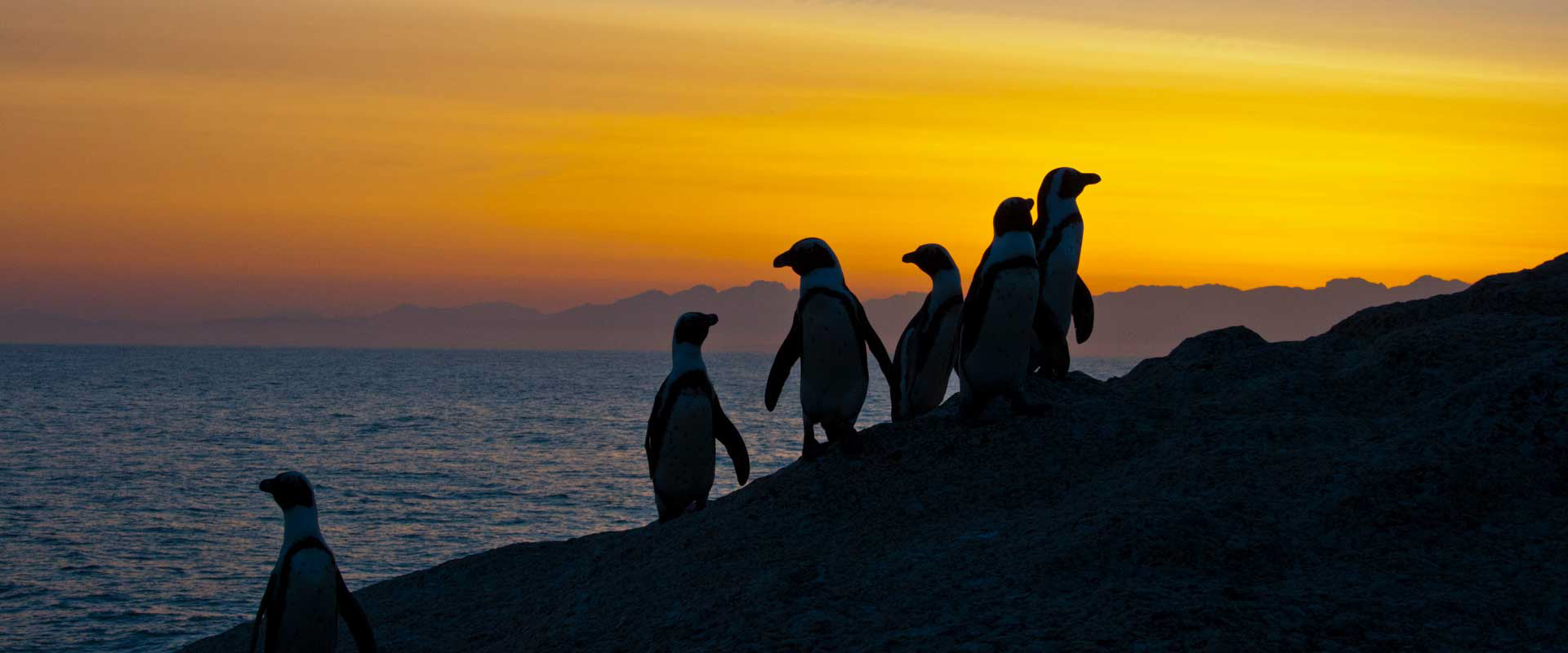 Reisebüro fish-trips - Tauchreisen, Tauchsafaris, Tauchurlaub ...
